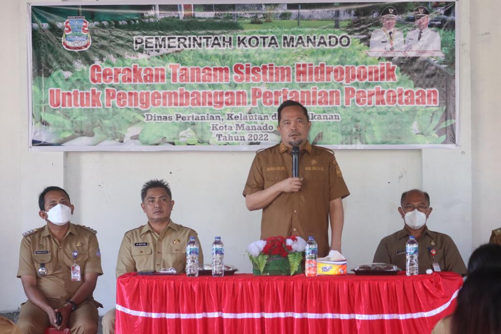 Dinas PKP Manado : Gerakan Tanam Hidroponik Solusi Mengatasi ...